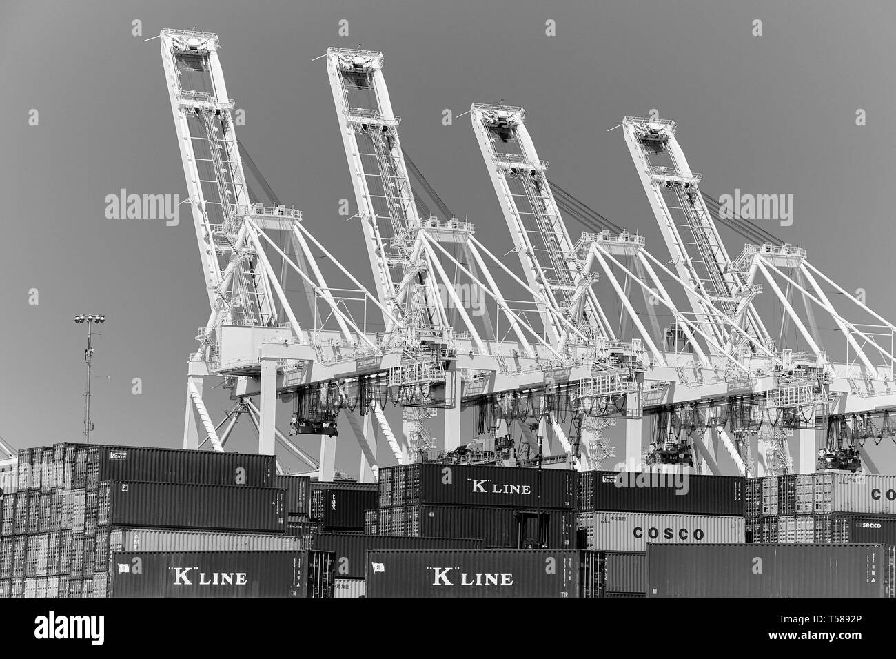 Black And White Photo Of Stacked 45 Foot Shipping Containers And Raised ...