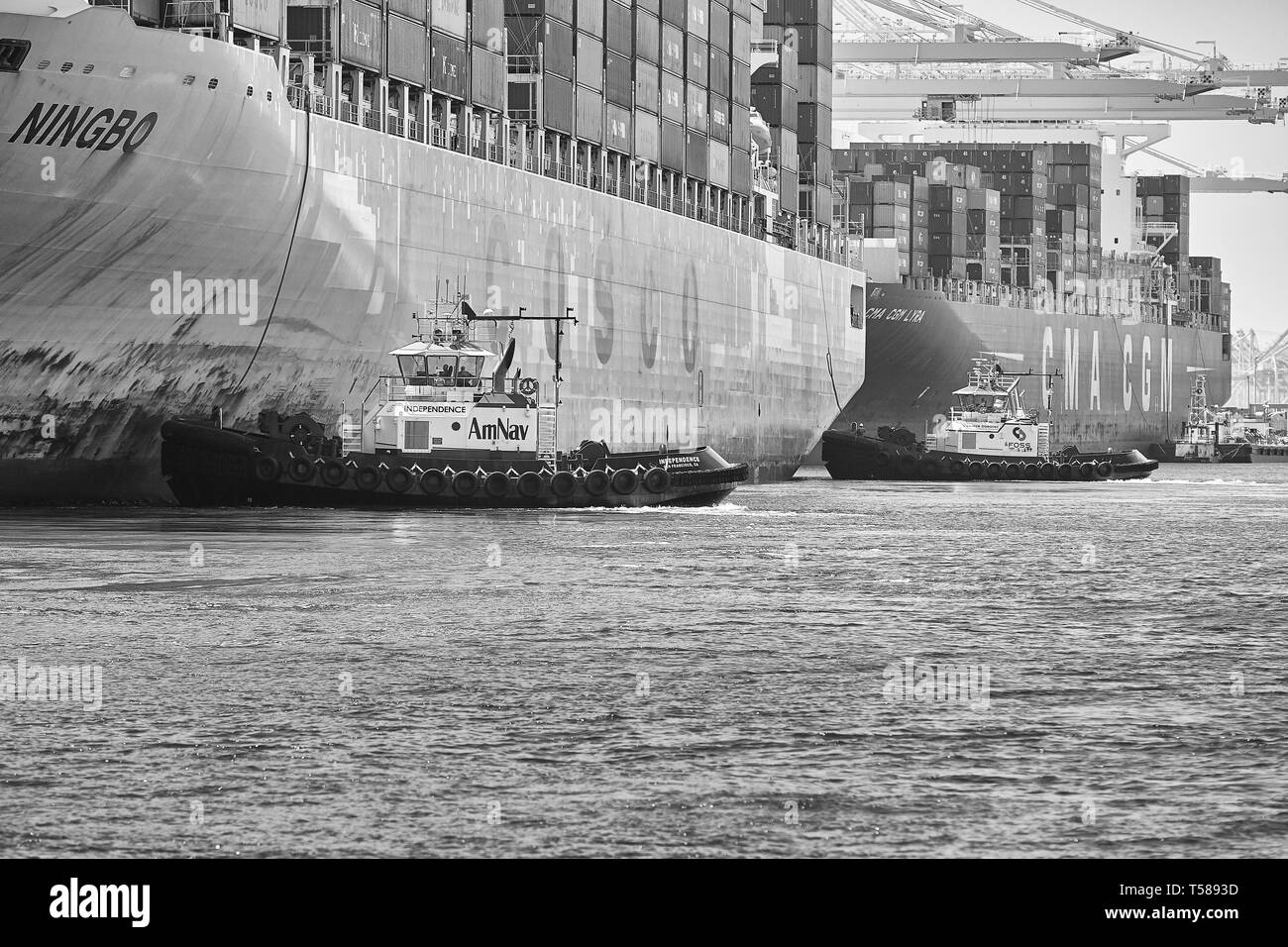 Black And White Photo Of COSCO Ningbo Container Ship Is Guided Into ...