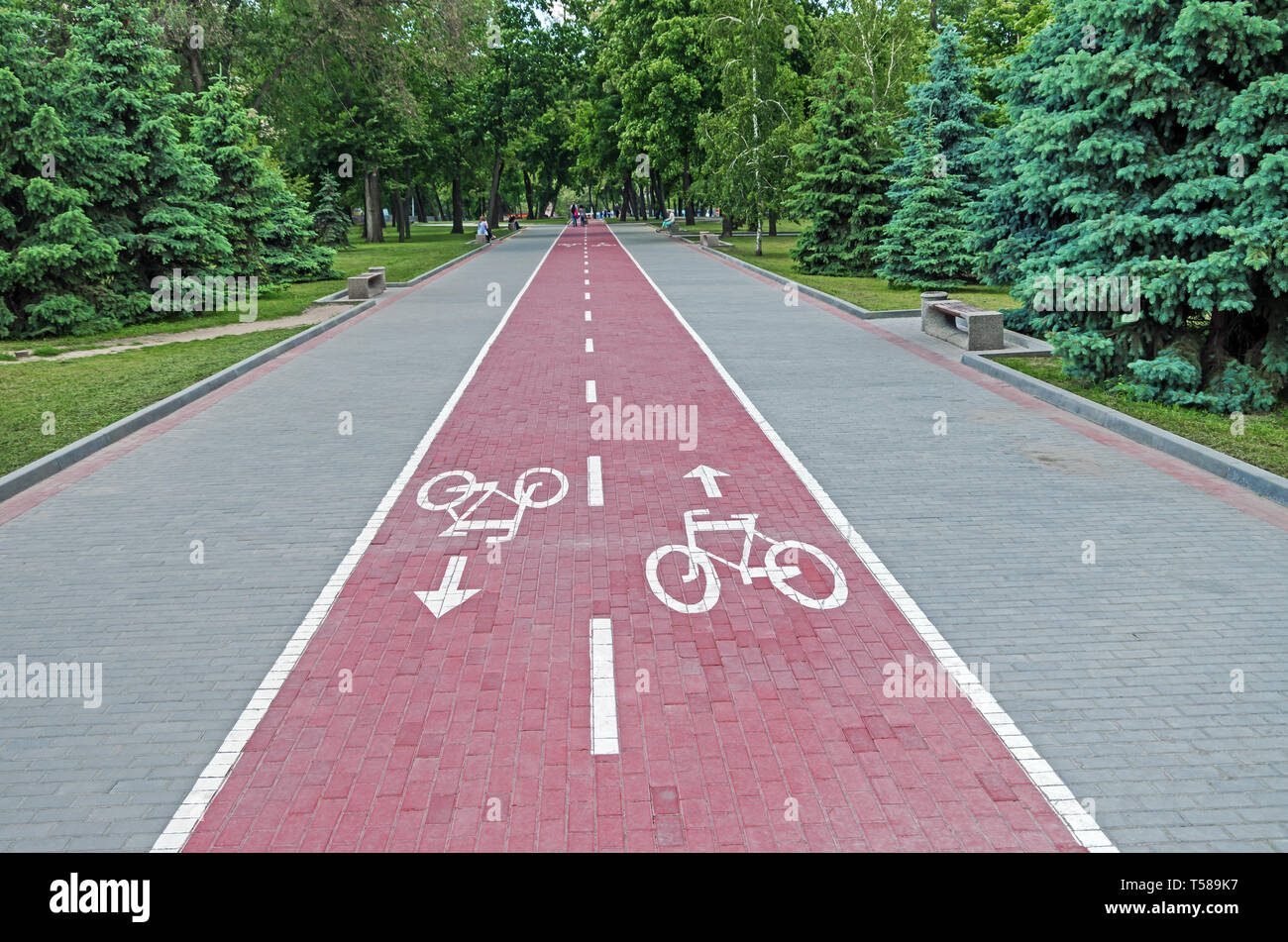 Two-way bicycle path lined with paving slabs in the city park Stock ...