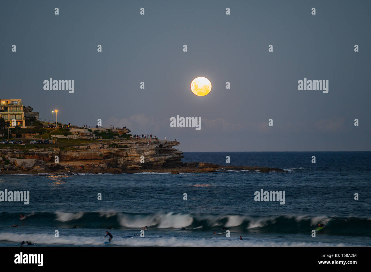 Moon over sydney hi-res stock photography and images - Alamy