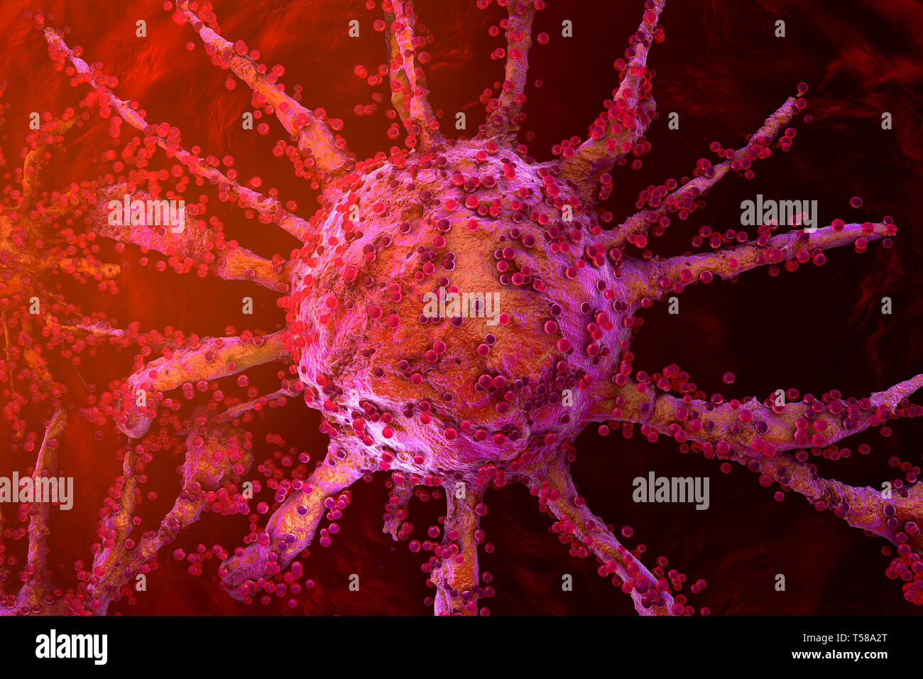 Cancerous Cell Growth High Resolution Stock Photography and Images - Alamy