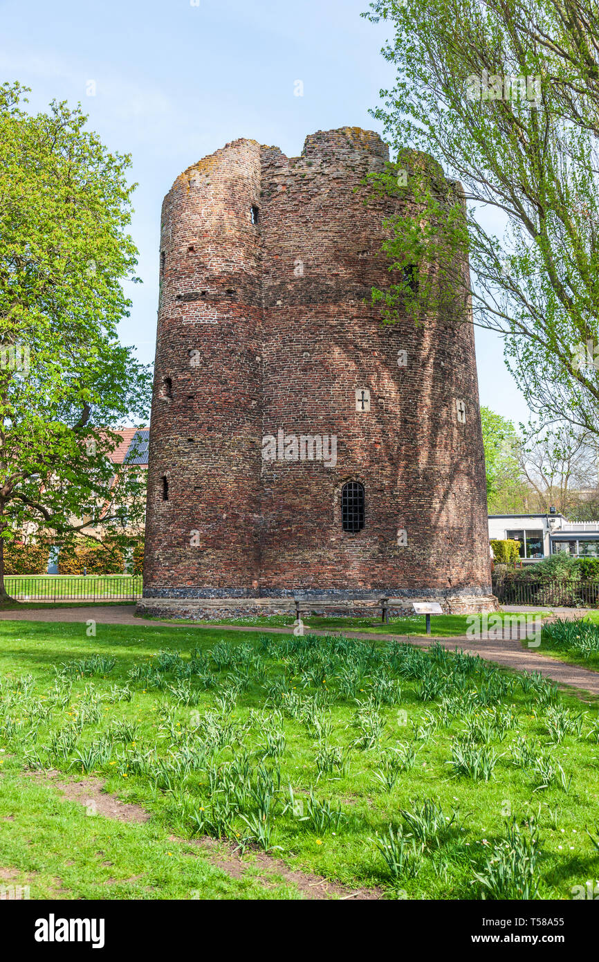 view of the medieval cow tower on the river wensum norwich Stock Photo ...