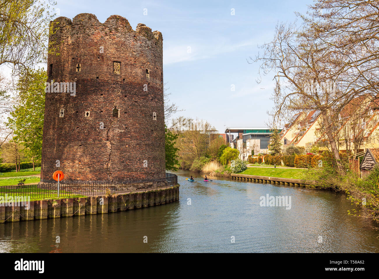 view of the medieval cow tower on the river wensum norwich Stock Photo ...