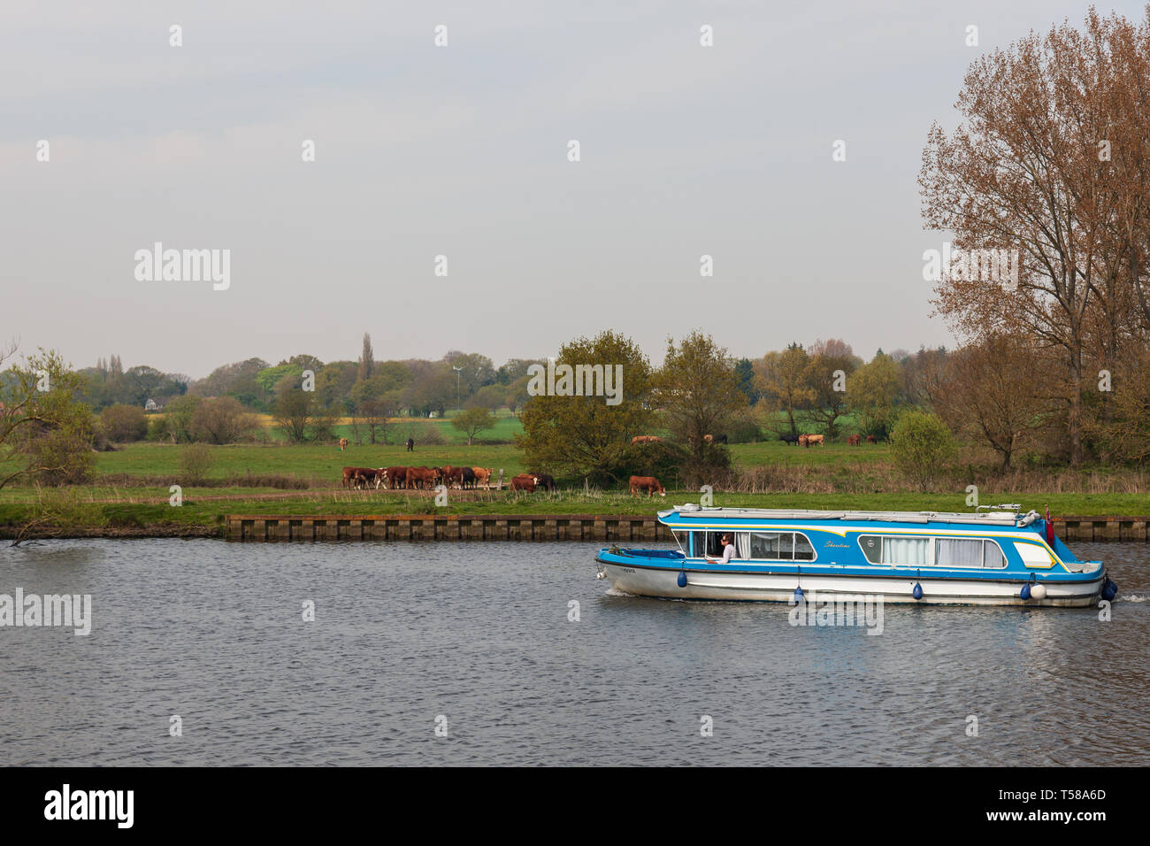 Surlingham Broad High Resolution Stock Photography and Images - Alamy