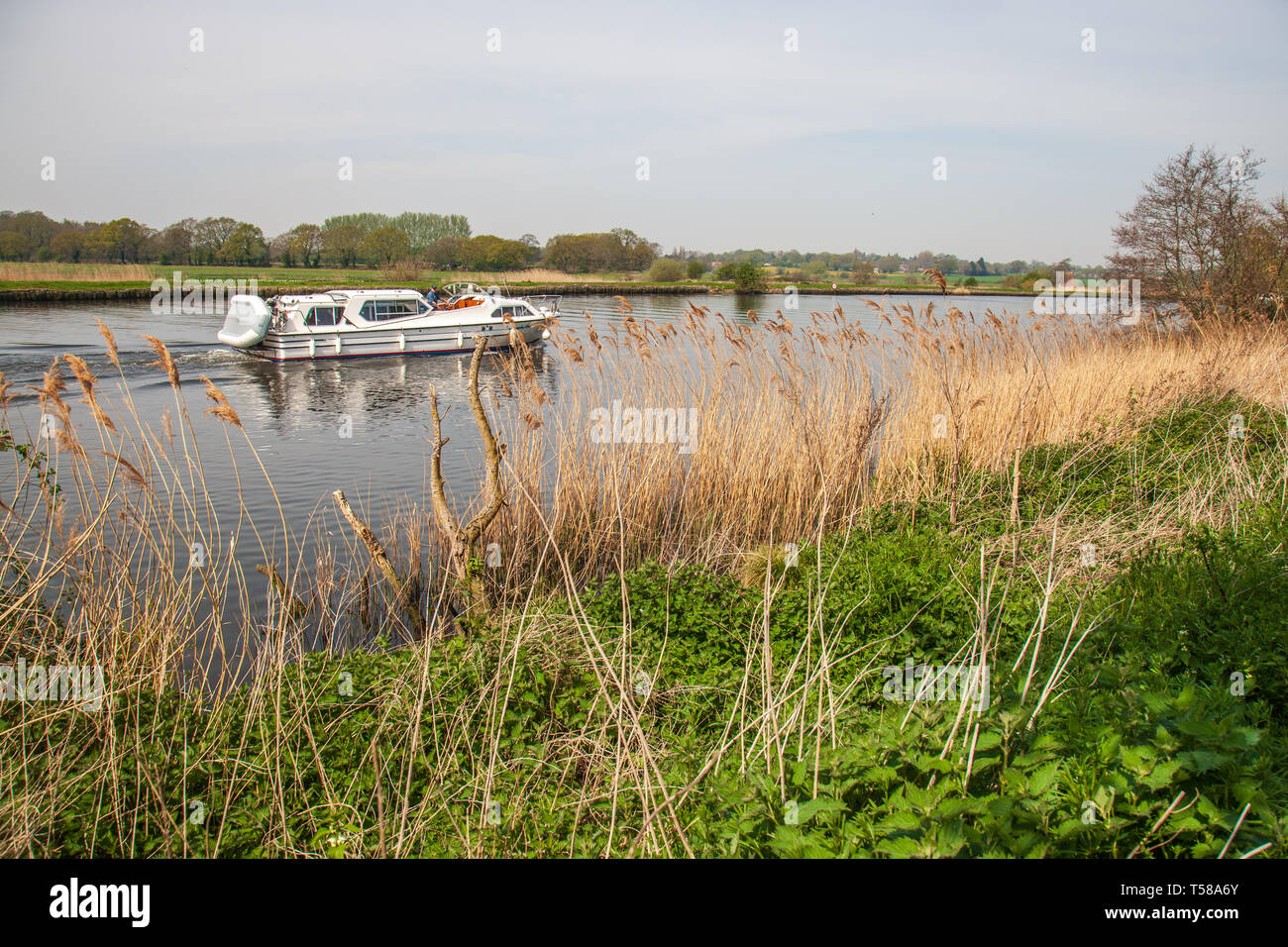 view of pleasure boats on the river yare at surlingham on the norfolk ...