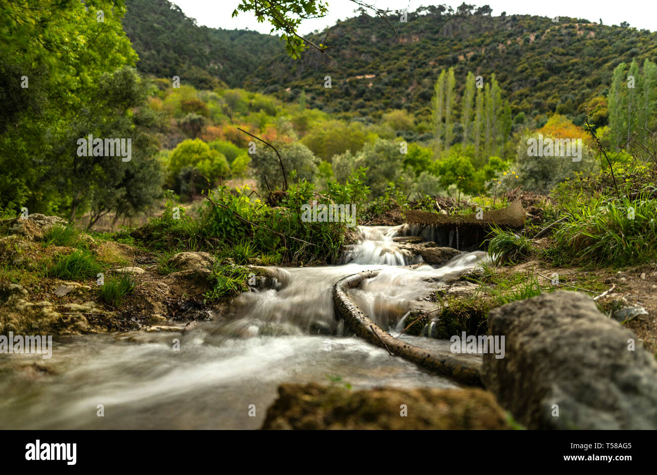 Guney hi-res stock photography and images - Alamy