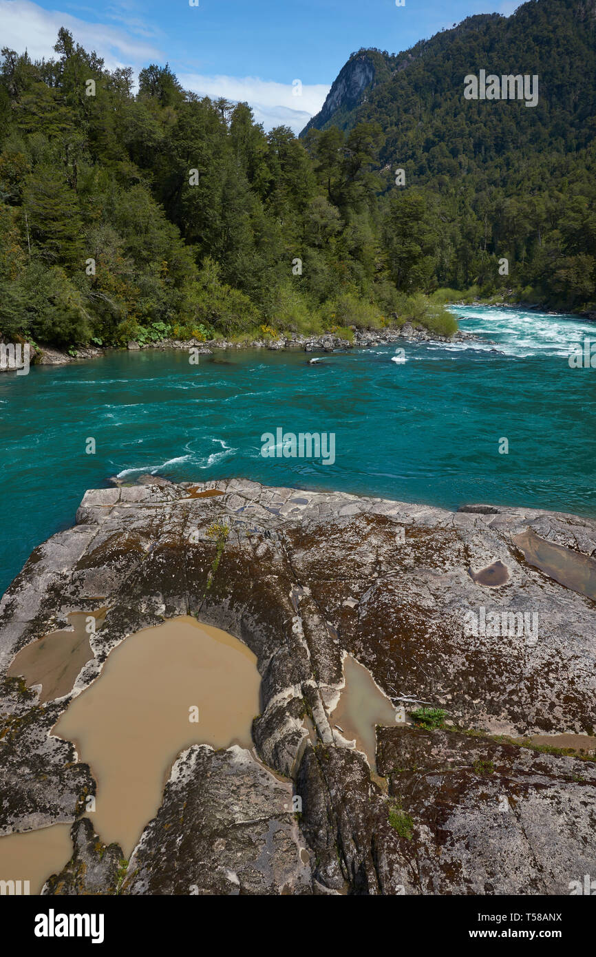 River Futaleufu flowing through a forested valley in the Region of ...