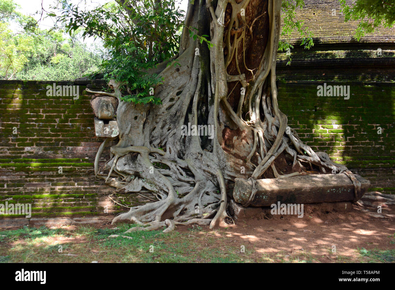 Pulattipura hi-res stock photography and images - Alamy