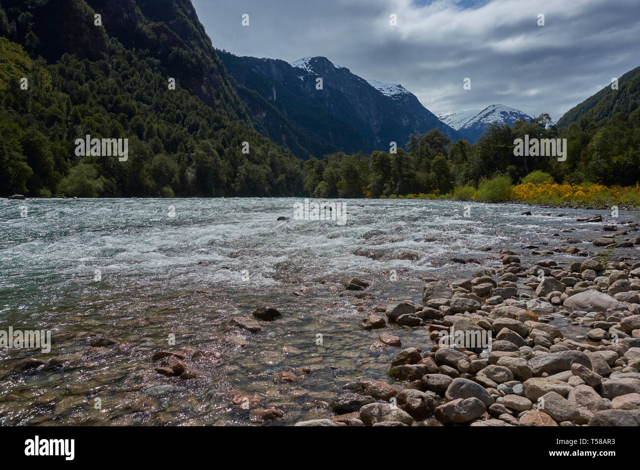 River Futaleufu flowing through a forested valley in the Region of ...