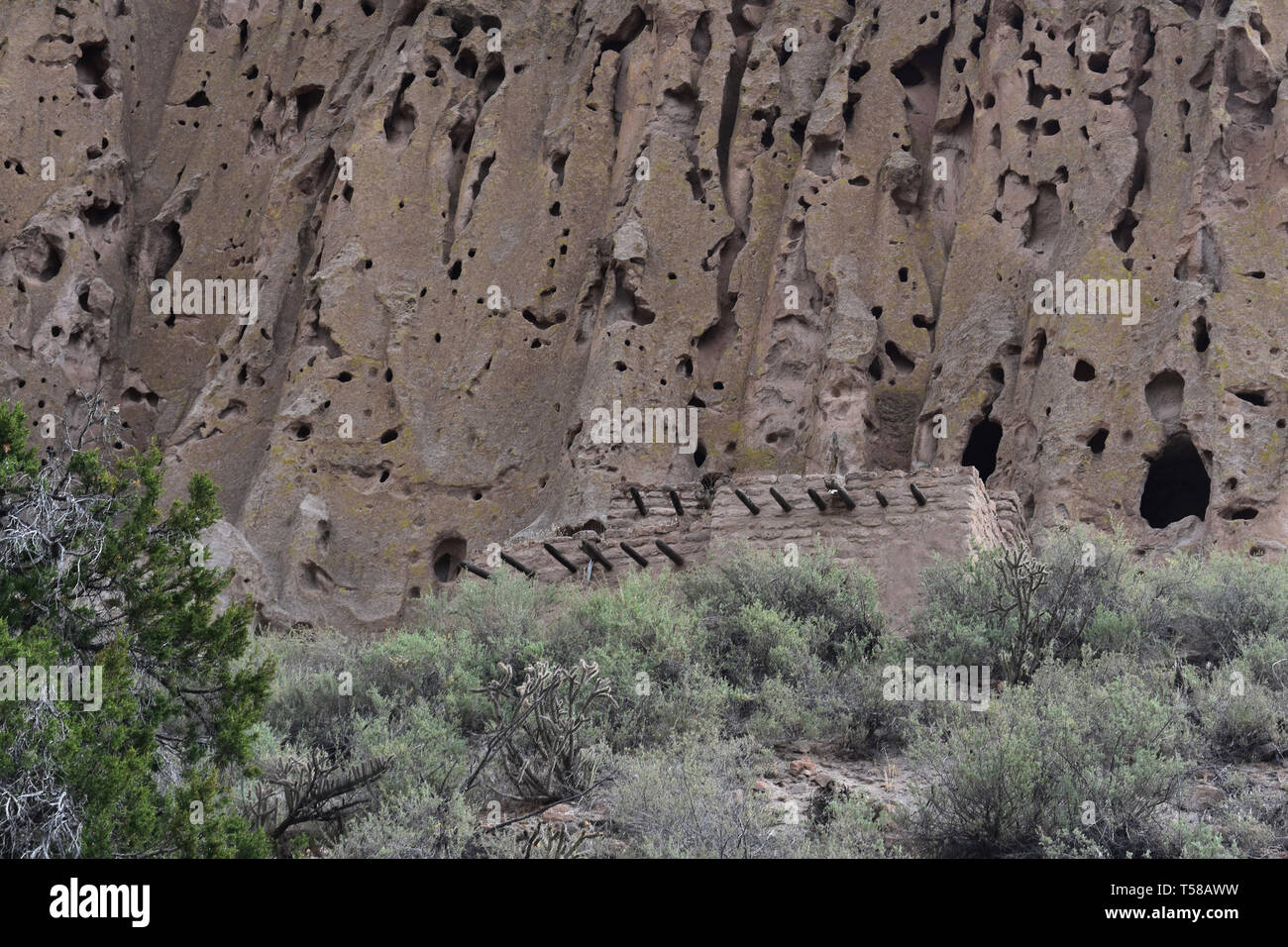 Gorgeous preserved pueblo cliff dwellings in Los Alamos New Mexico ...