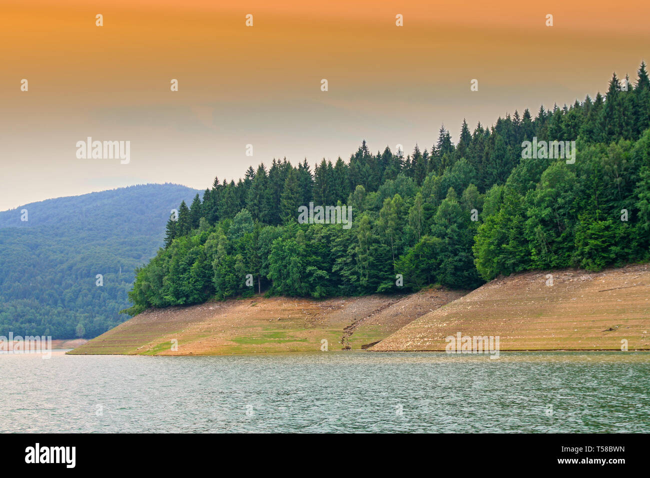 Low level of water on Bicaz Lake, summer forest on coast Stock Photo ...