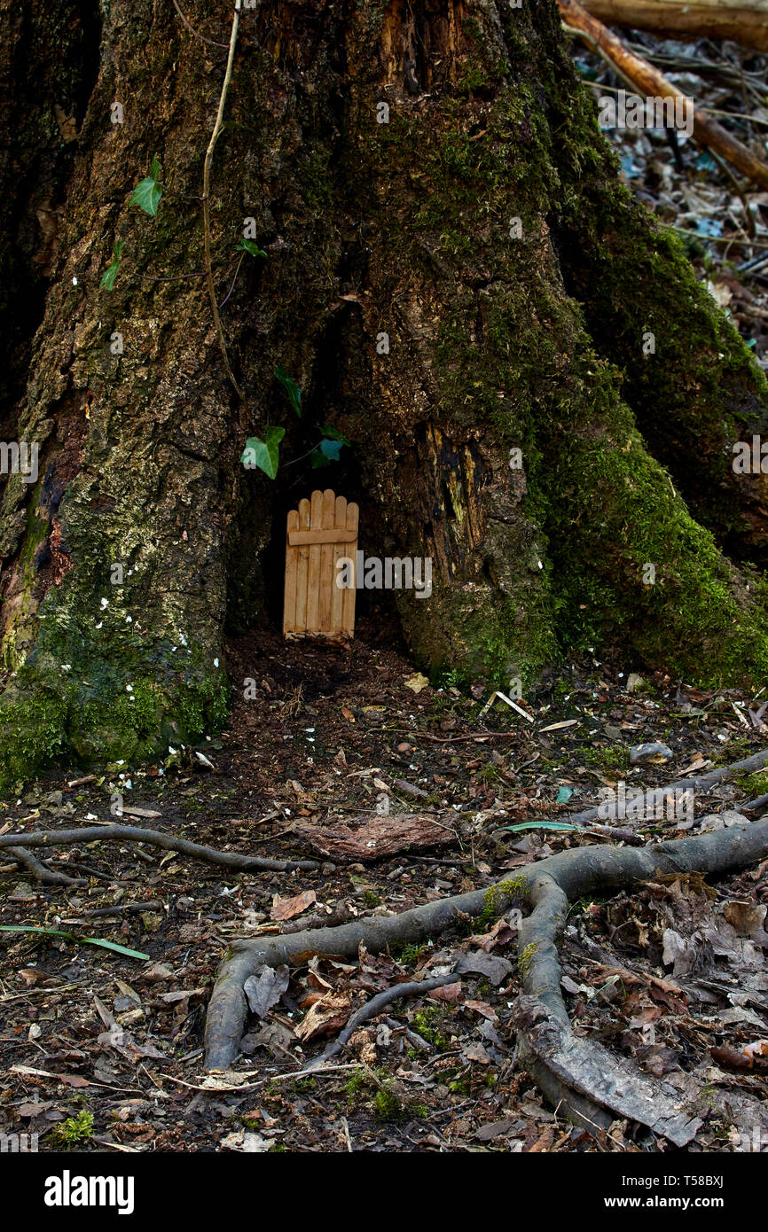 Doorway into base of large tree as a gateway to nature abstract Stock ...