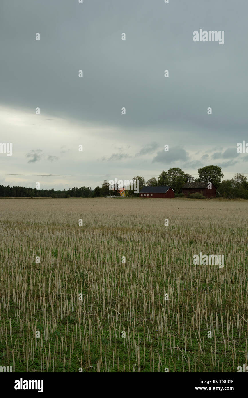 Open farmland hi-res stock photography and images - Alamy