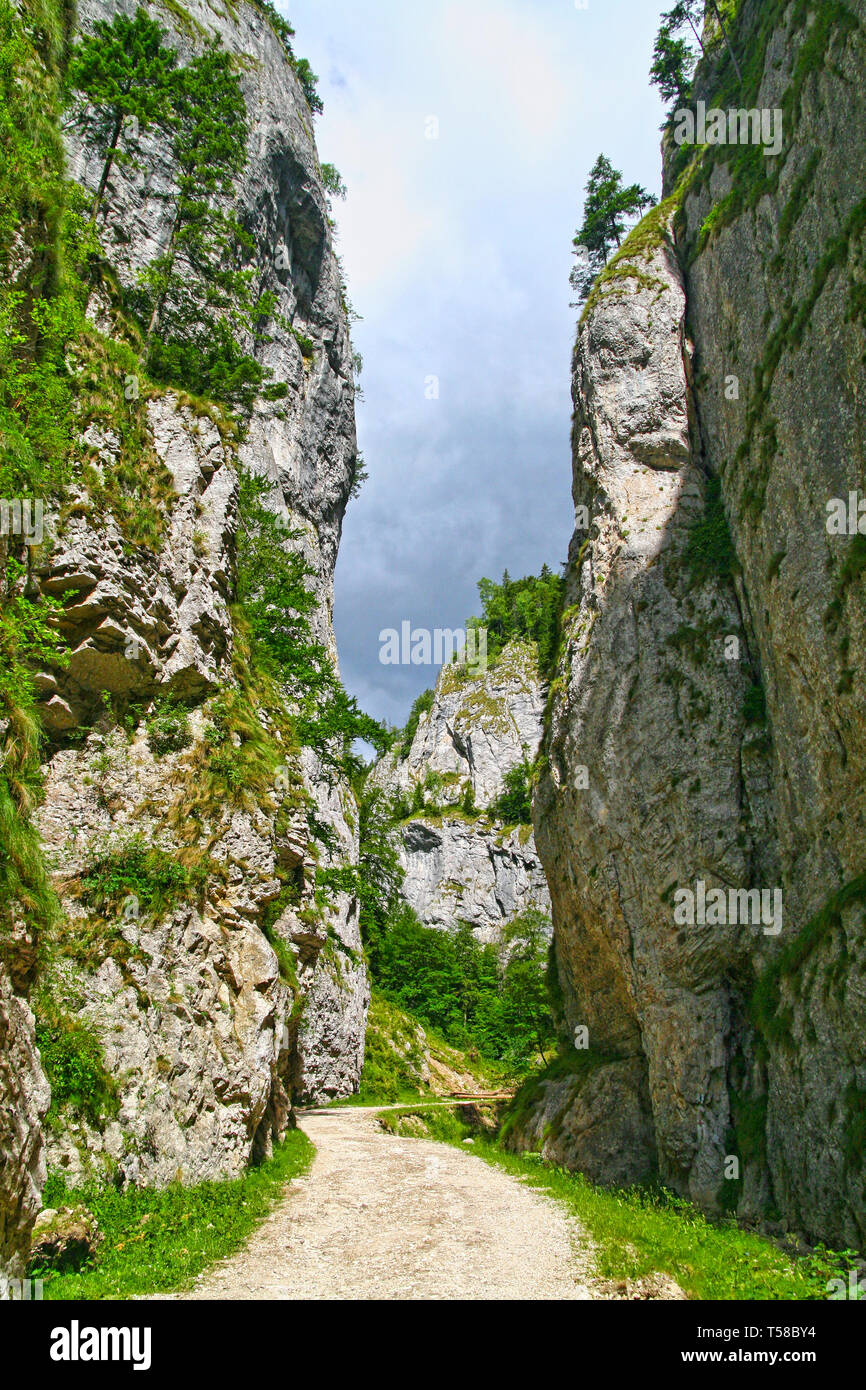 Zarnesti canyon hi-res stock photography and images - Alamy
