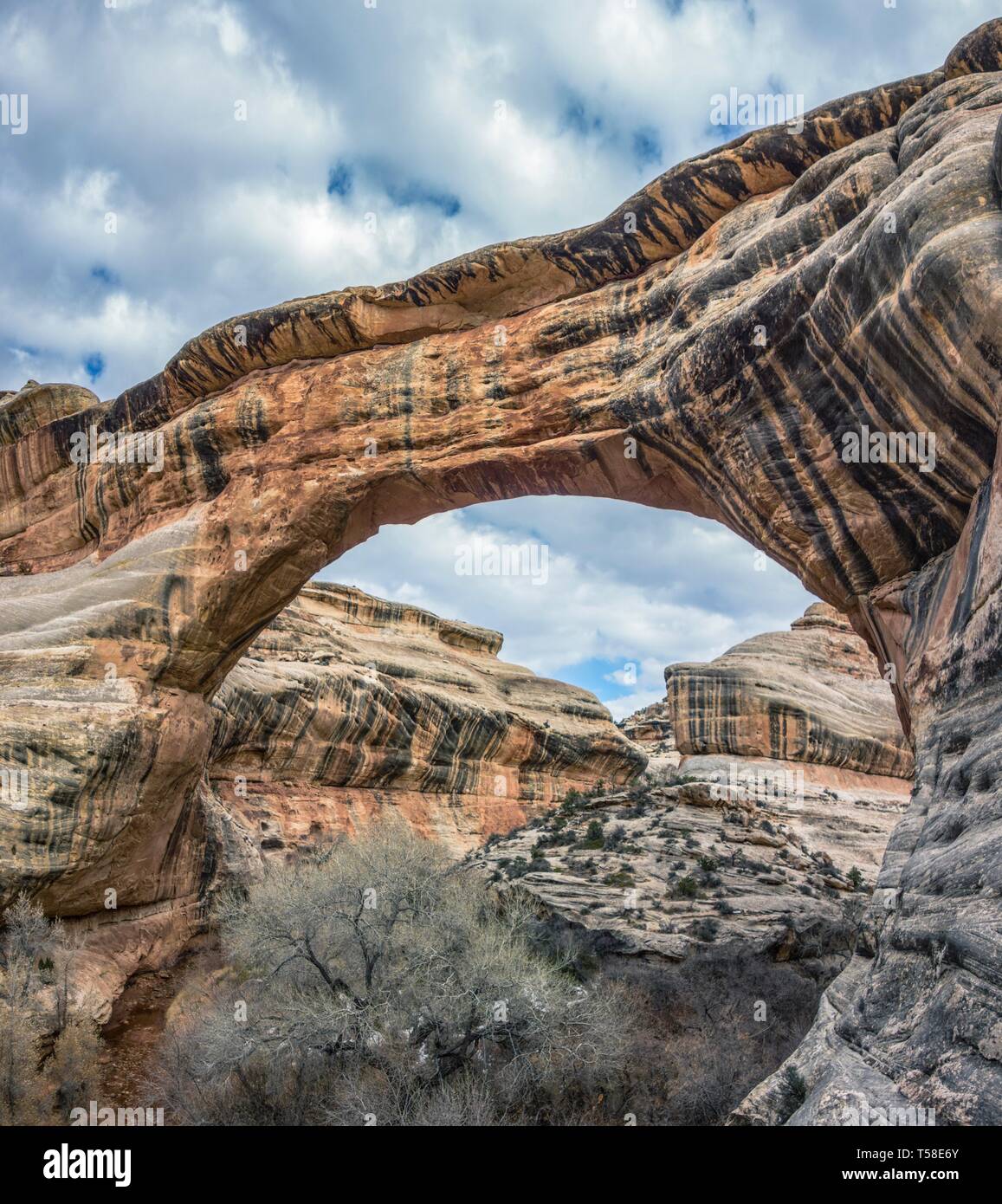 Sipapu Bridge, natural arch, Natural Bridges National Monument, Utah ...