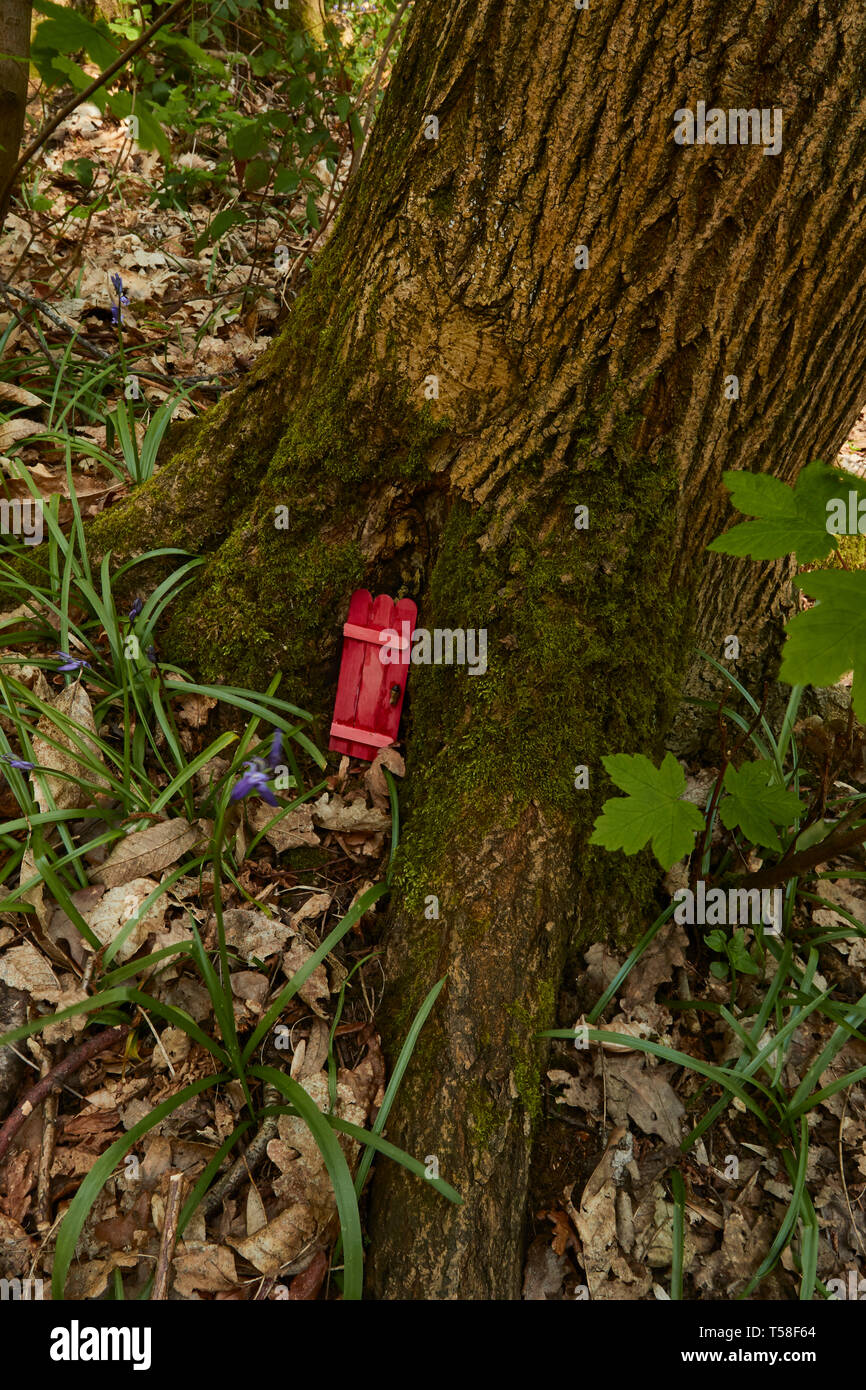 Doorway into base of large tree as a gateway to nature abstract Stock ...