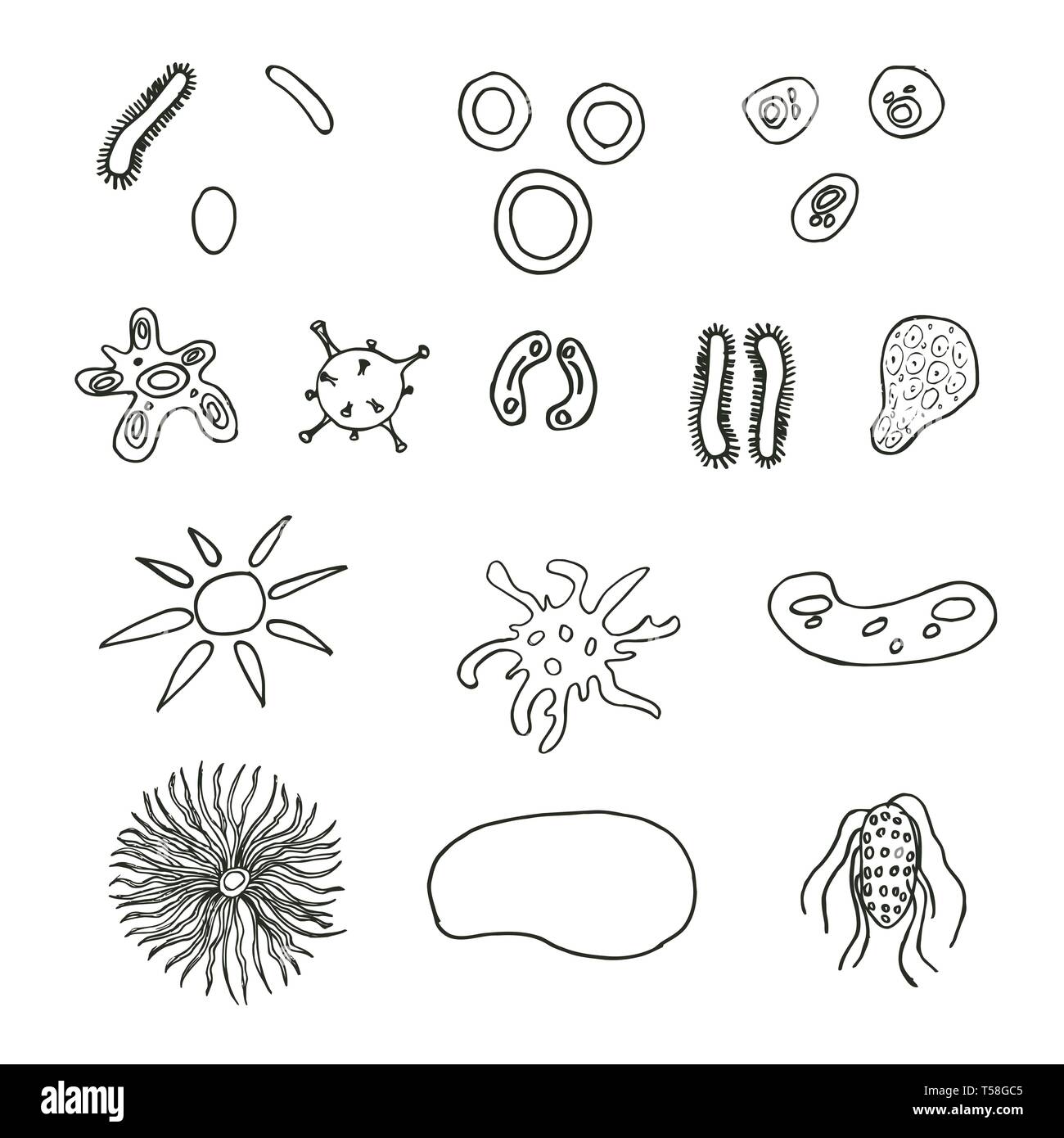 A set of bacteria and viruses. Vector illustration. Microbiology Stock ...