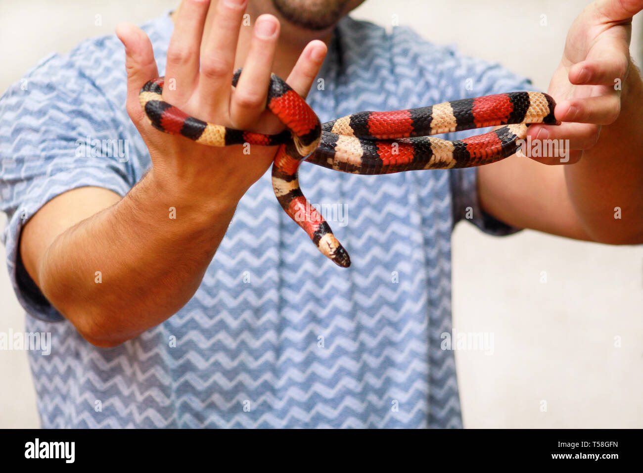 Man With Snake Tongue High Resolution Stock Photography and Images - Alamy