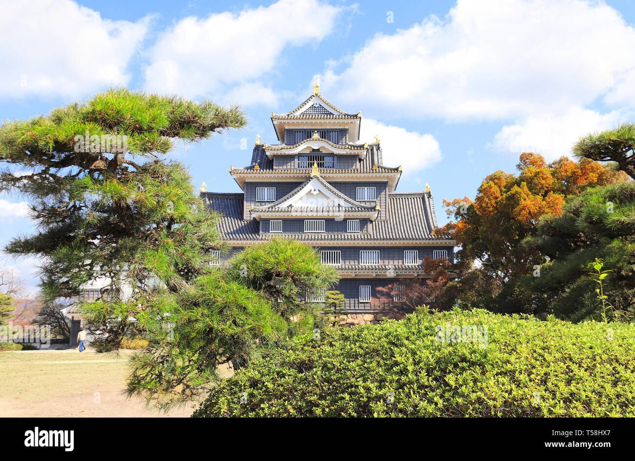 Ravens castle High Resolution Stock Photography and Images - Alamy