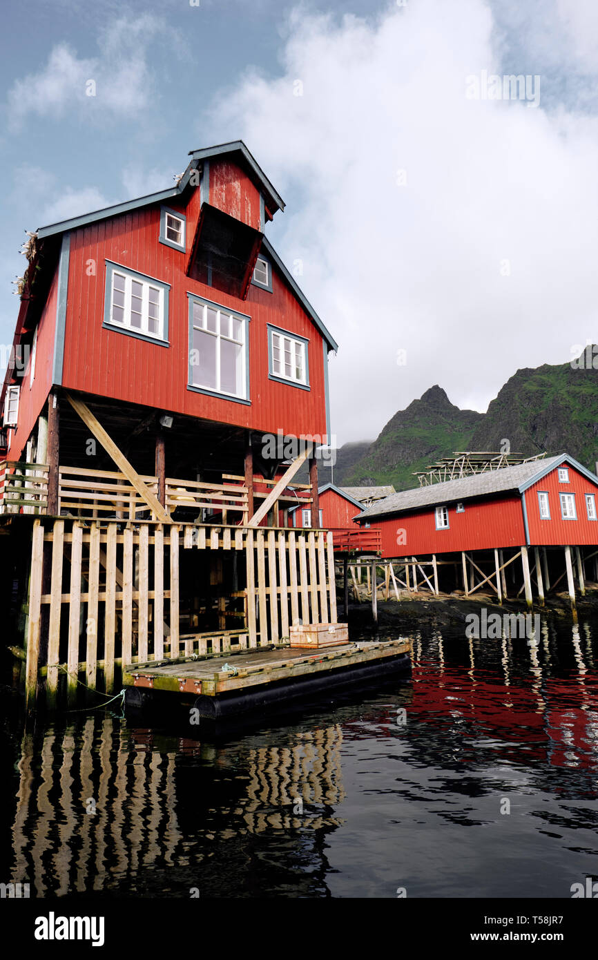 The red Rorbu Norwegian traditional fisherman houses built on wooden ...