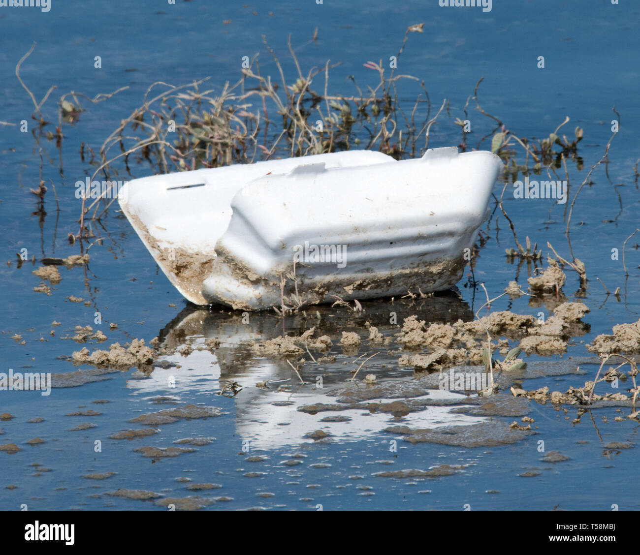 Plastic tray floating in water Stock Photo - Alamy