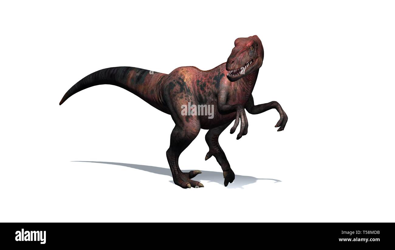 Dinosaur - Velociraptor - Two-legged, predator with a long, stiff tail ...