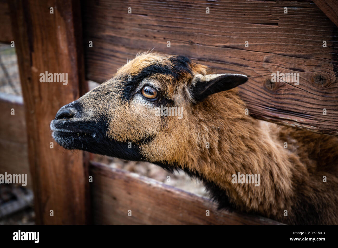 All peoples happy hi-res stock photography and images - Alamy