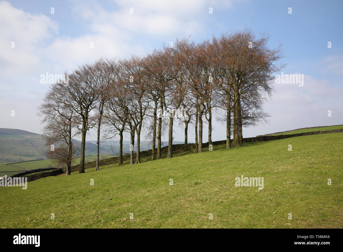 Slope gradient hi-res stock photography and images - Alamy