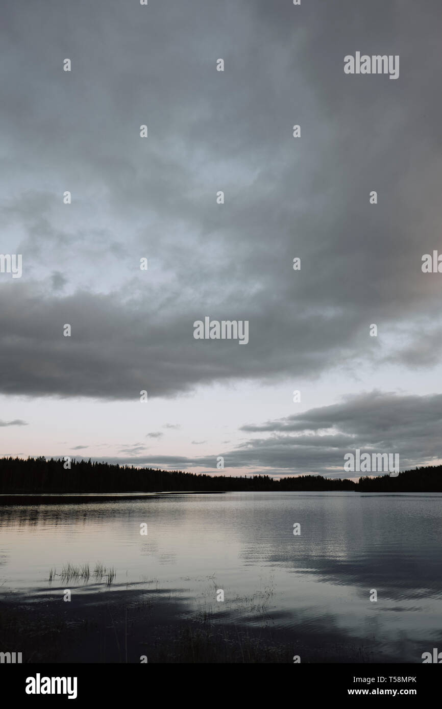 Sweden taiga forest hi-res stock photography and images - Alamy