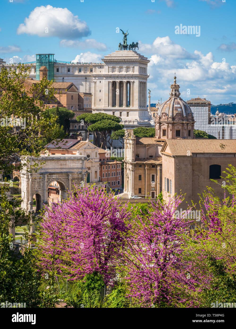 Flowers Of Ancient Rome at Carla Apgar blog