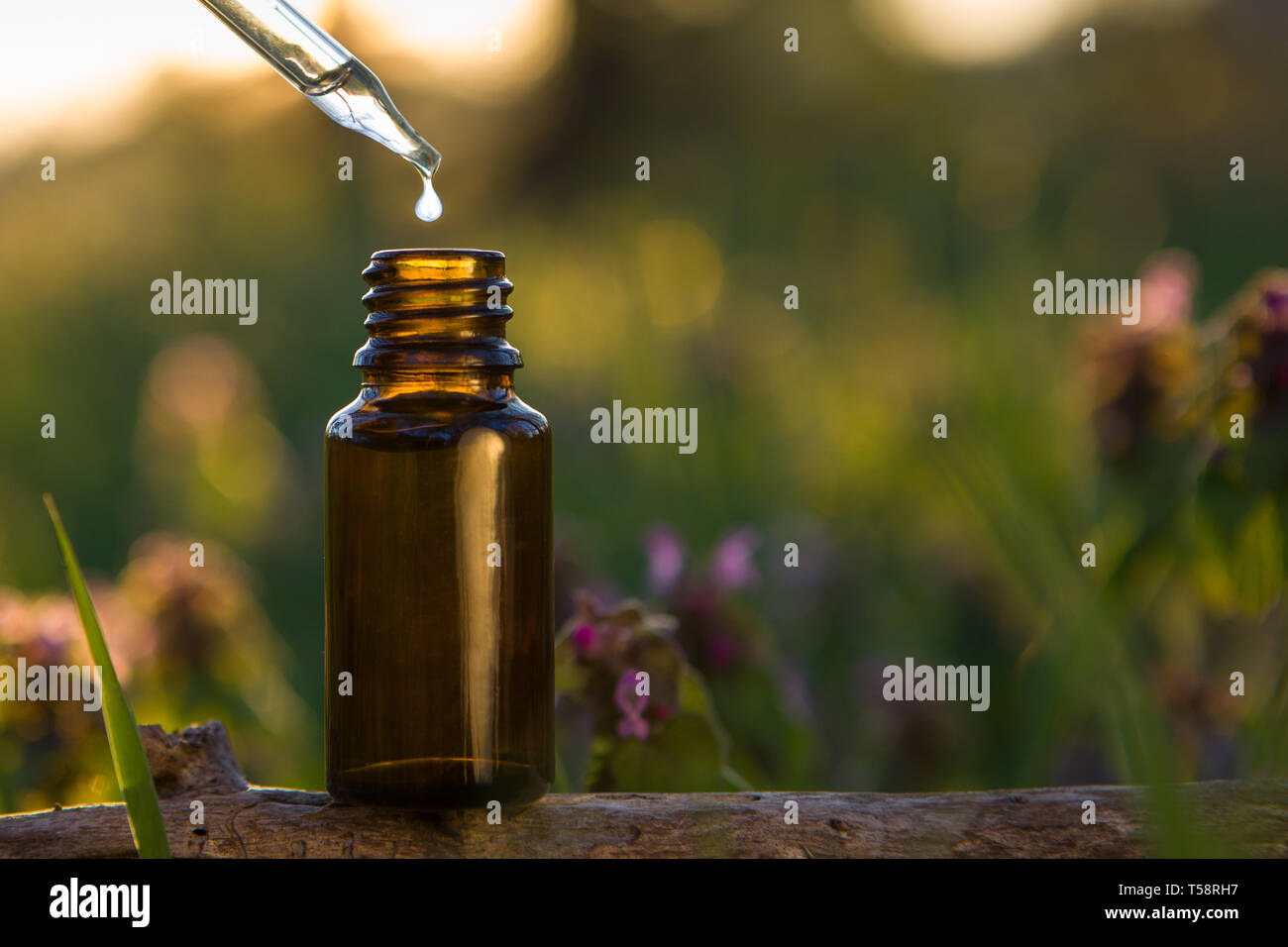 Oil dripping from pipette hi-res stock photography and images - Alamy