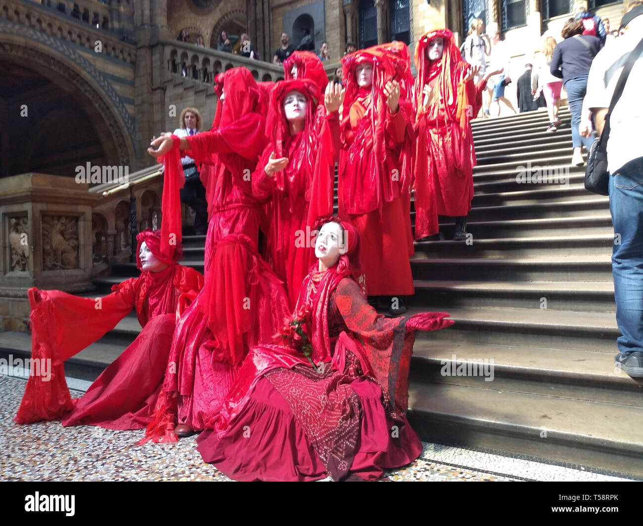 Extinction Rebellion protestors inside the Natural History Museum in ...