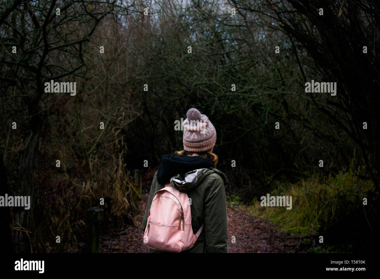 Spooky woods hi-res stock photography and images - Alamy