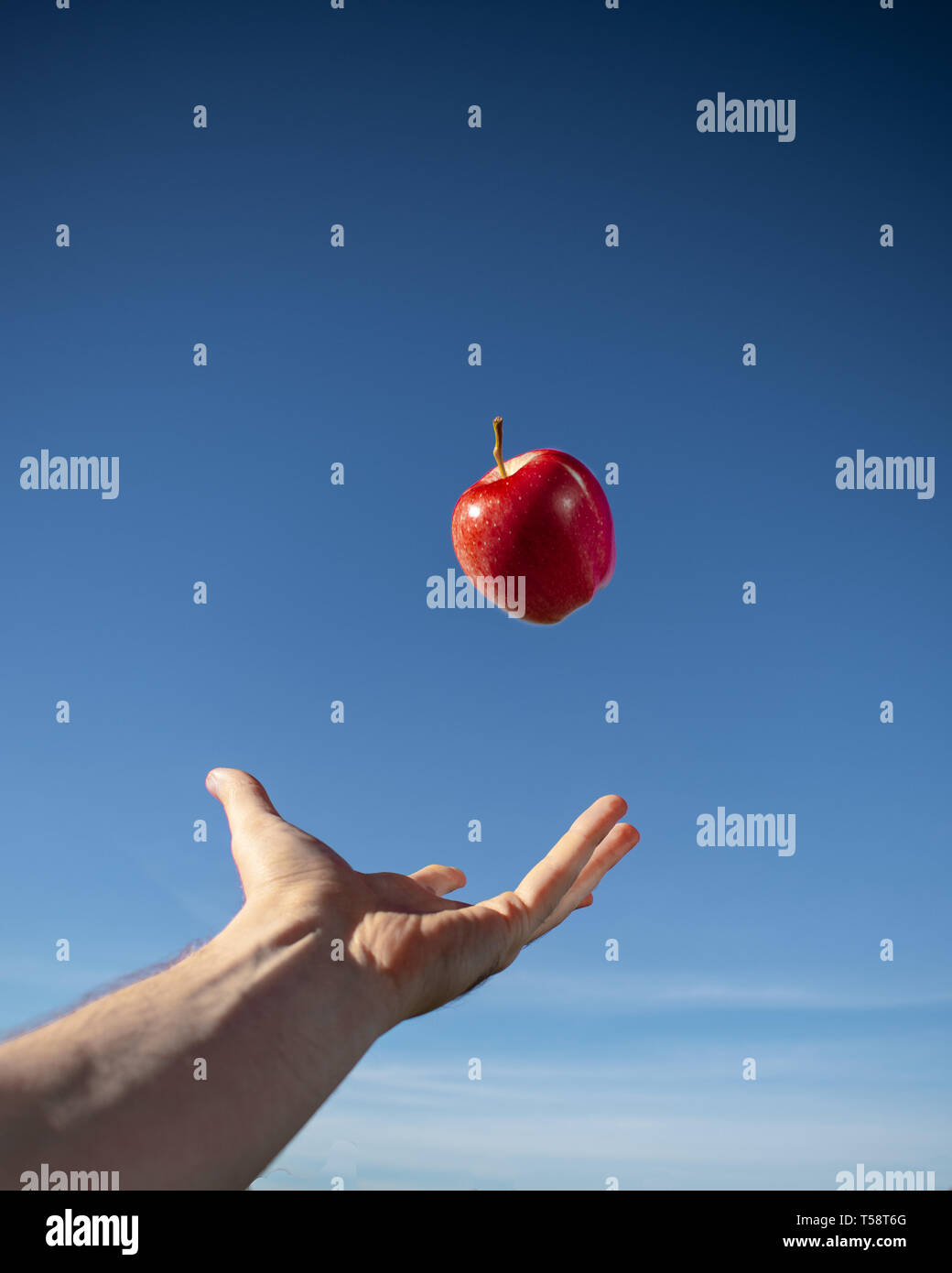 Hand throwing red apple in the air with blue sky background Stock Photo ...