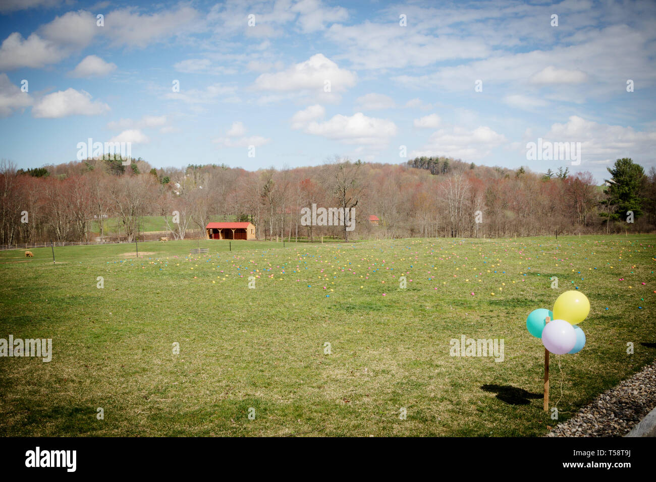 June Farm in New York Stock Photo - Alamy