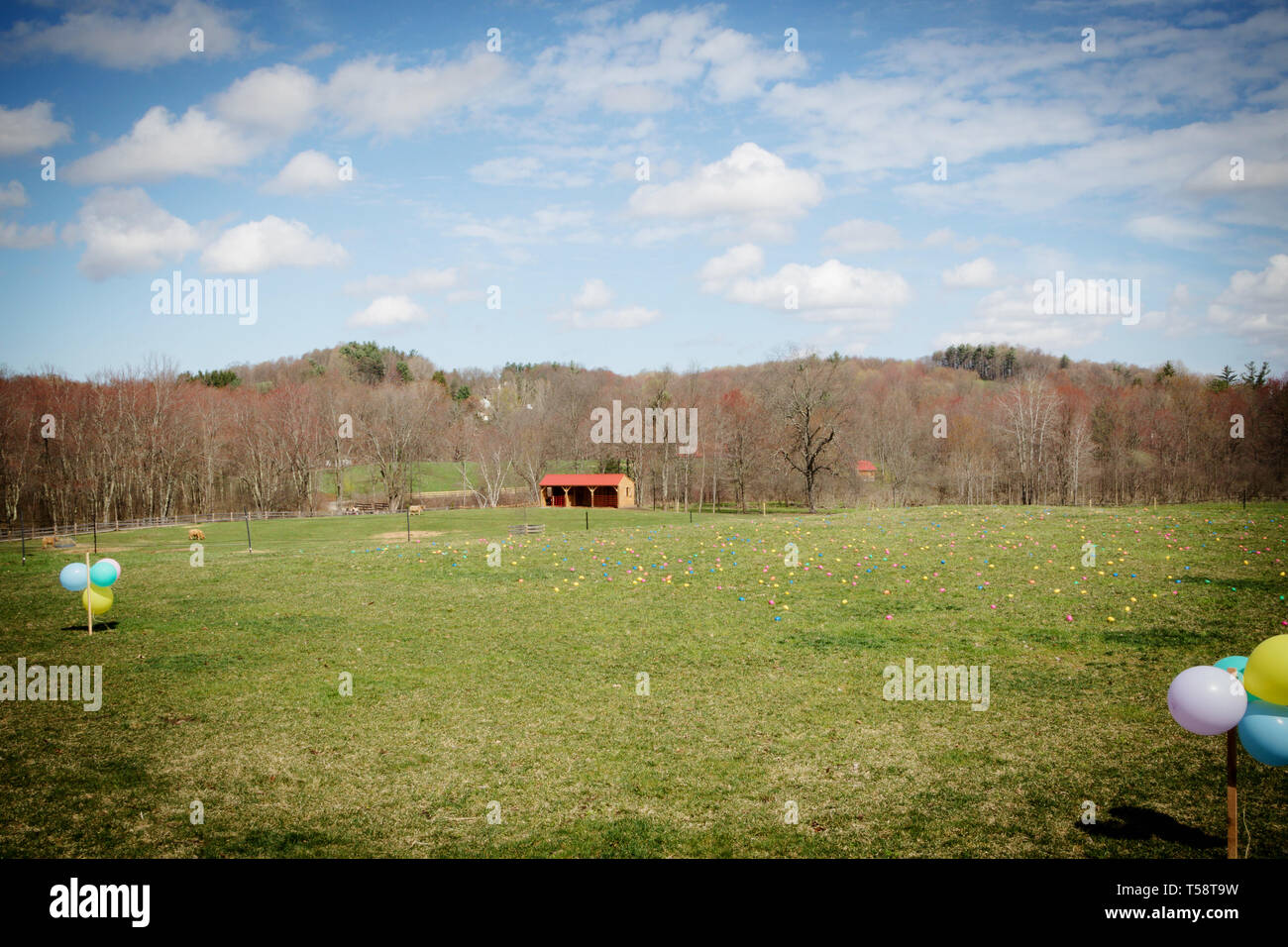 June Farm in New York Stock Photo - Alamy
