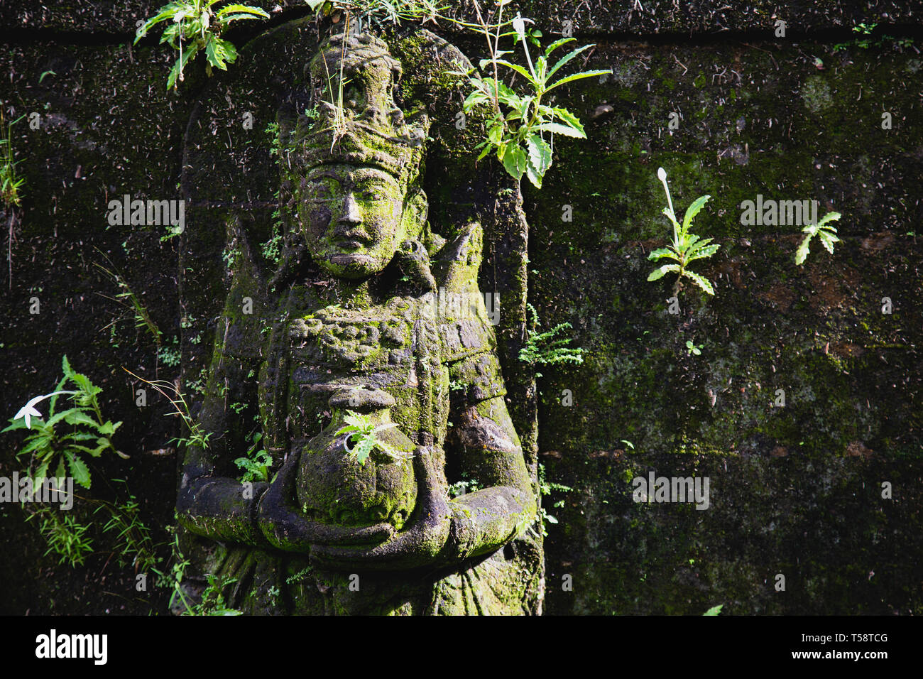 Mossy temple hi-res stock photography and images - Alamy