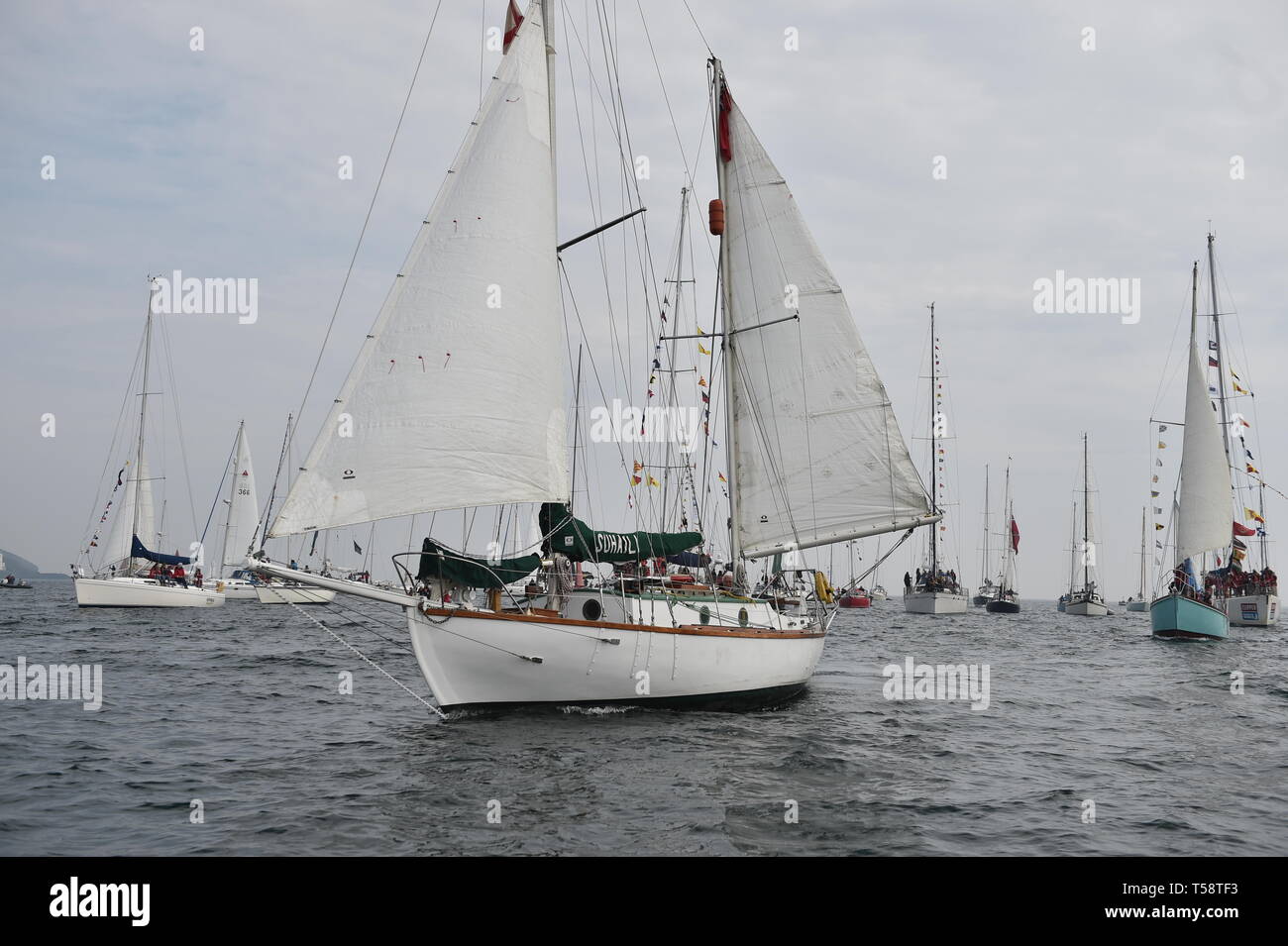 Sir Robin Knox-Johnson on board Suhali, is escorted by a flotilla of ...