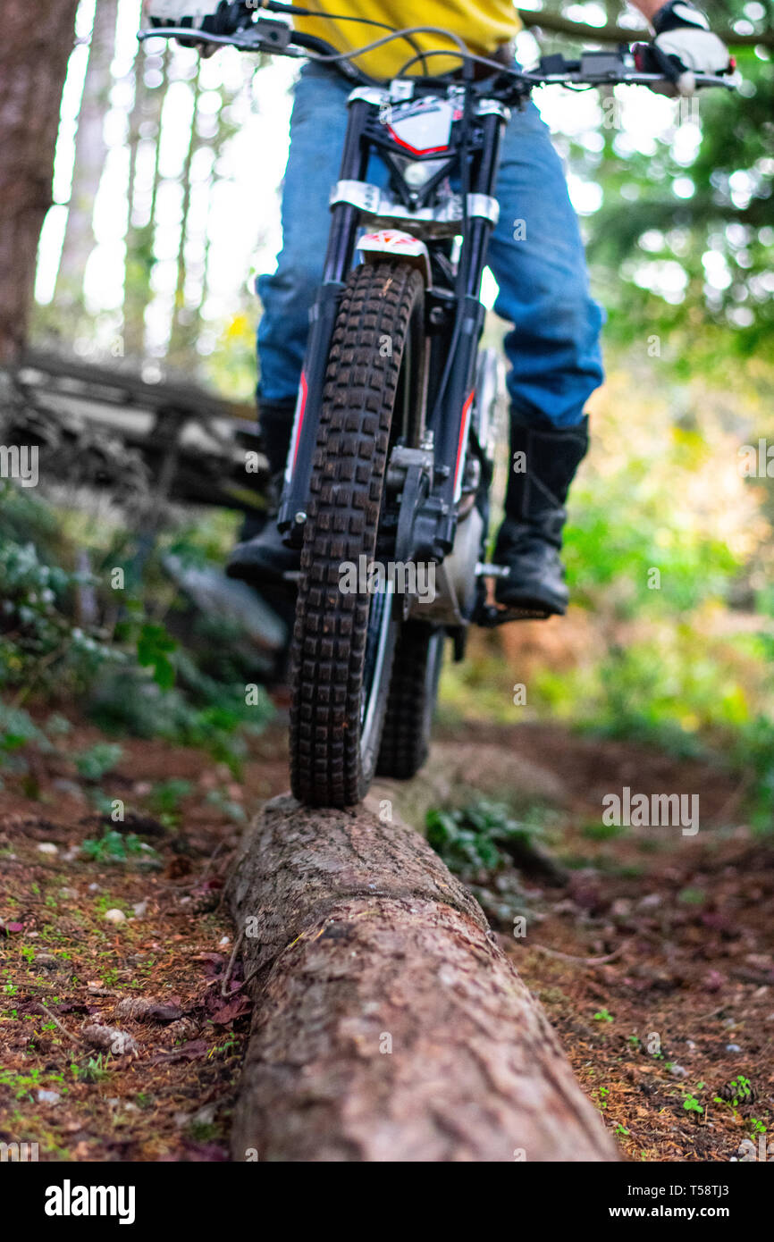 Man riding Motorcycle across log obstacle in the Forest Stock Photo - Alamy