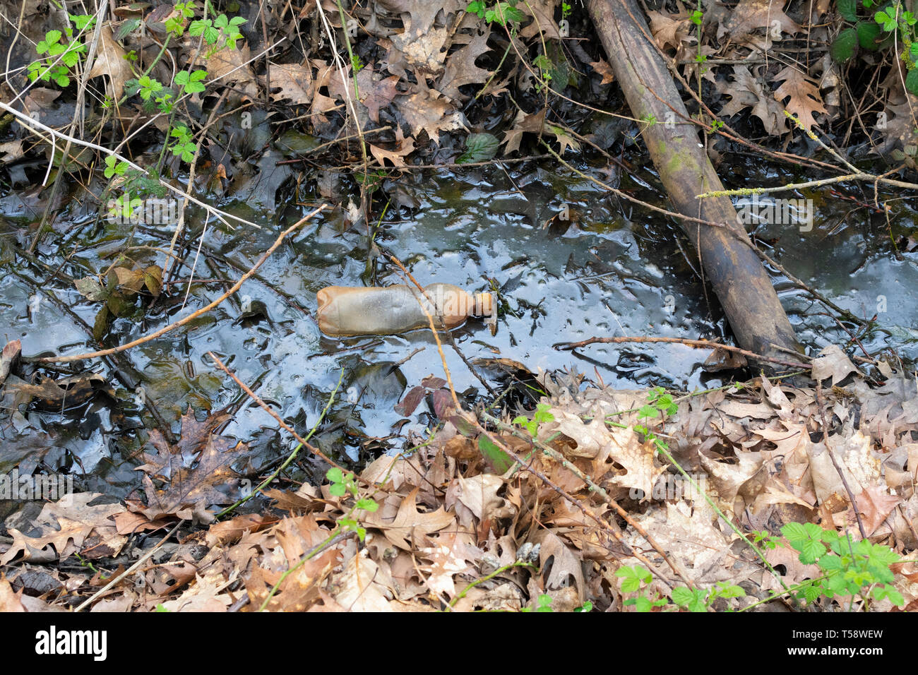 Plastic bottle in a puddle left by tourists in nature Stock Photo - Alamy