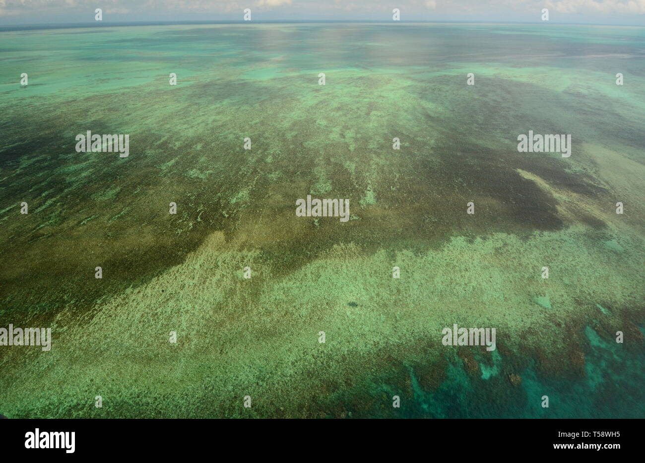 The Great Barrier Reef. Queensland. Australia Stock Photo - Alamy
