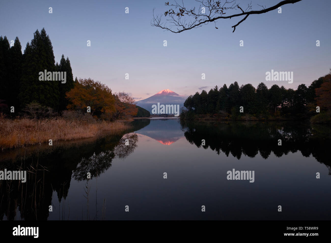 View of Mount Fuji at sunset from lake Tanuki, Shizuoka Prefecture ...