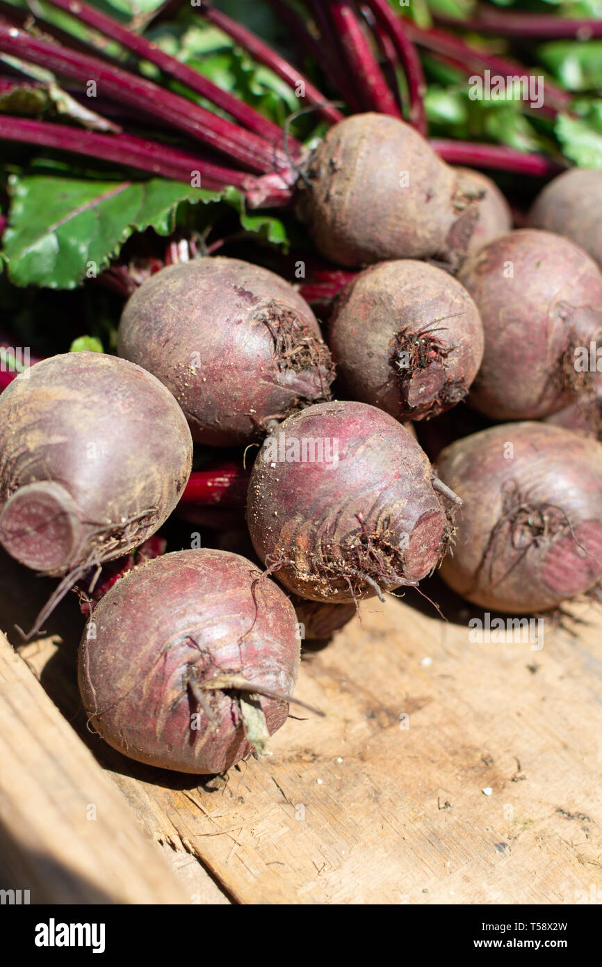 Farmer market in Nafplio, Greece, new harvest of red beetroot vegetable ...