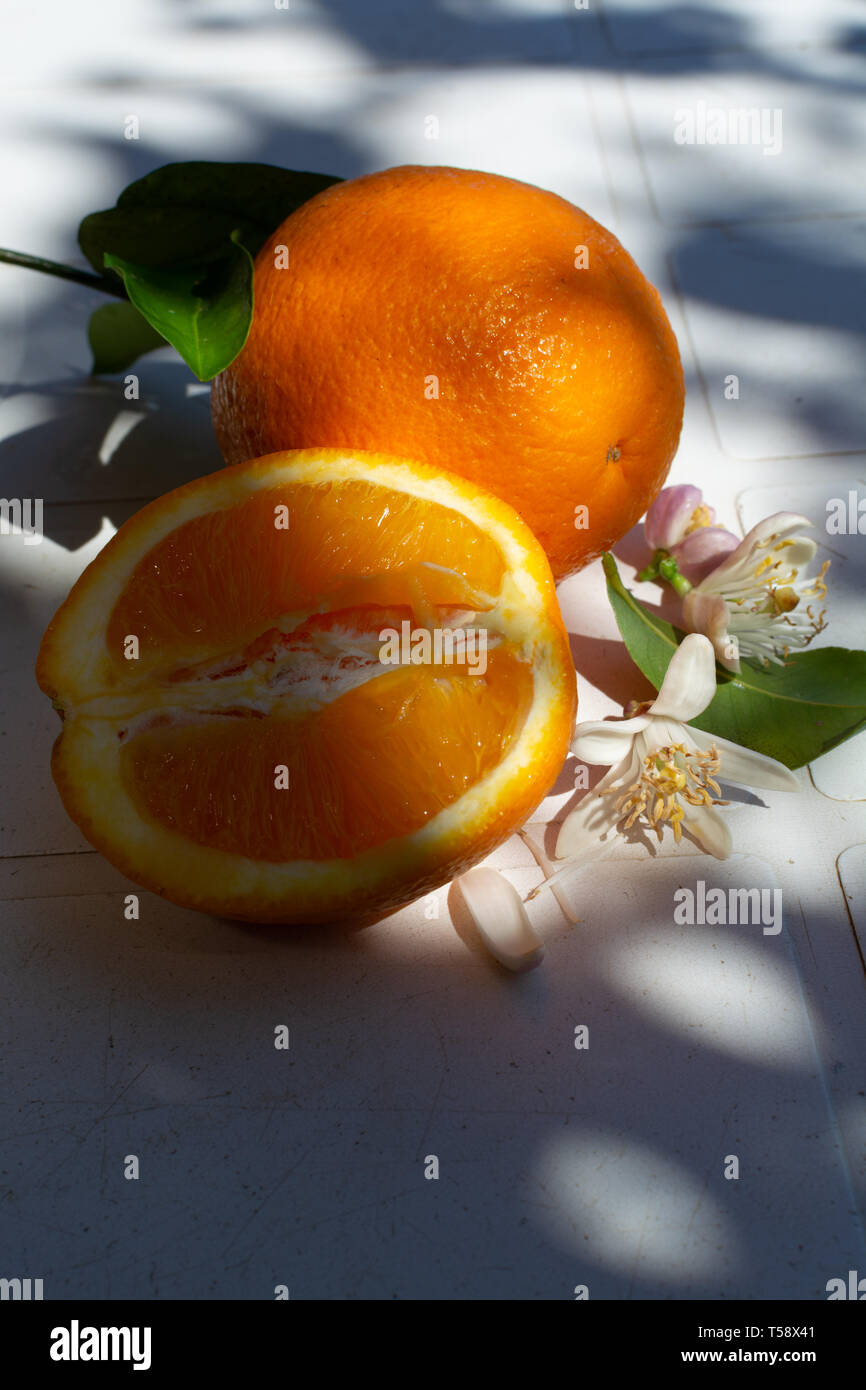 New harvest of sweet tasty organic oranges, oranges and flowers of ...