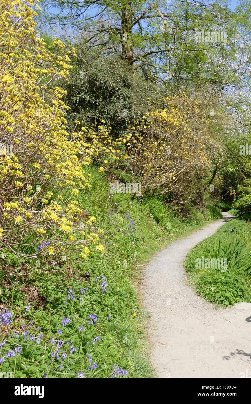Wild english gardens with pathway hi-res stock photography and images ...