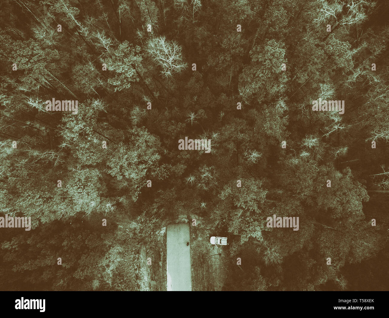 Forest end hi-res stock photography and images - Alamy