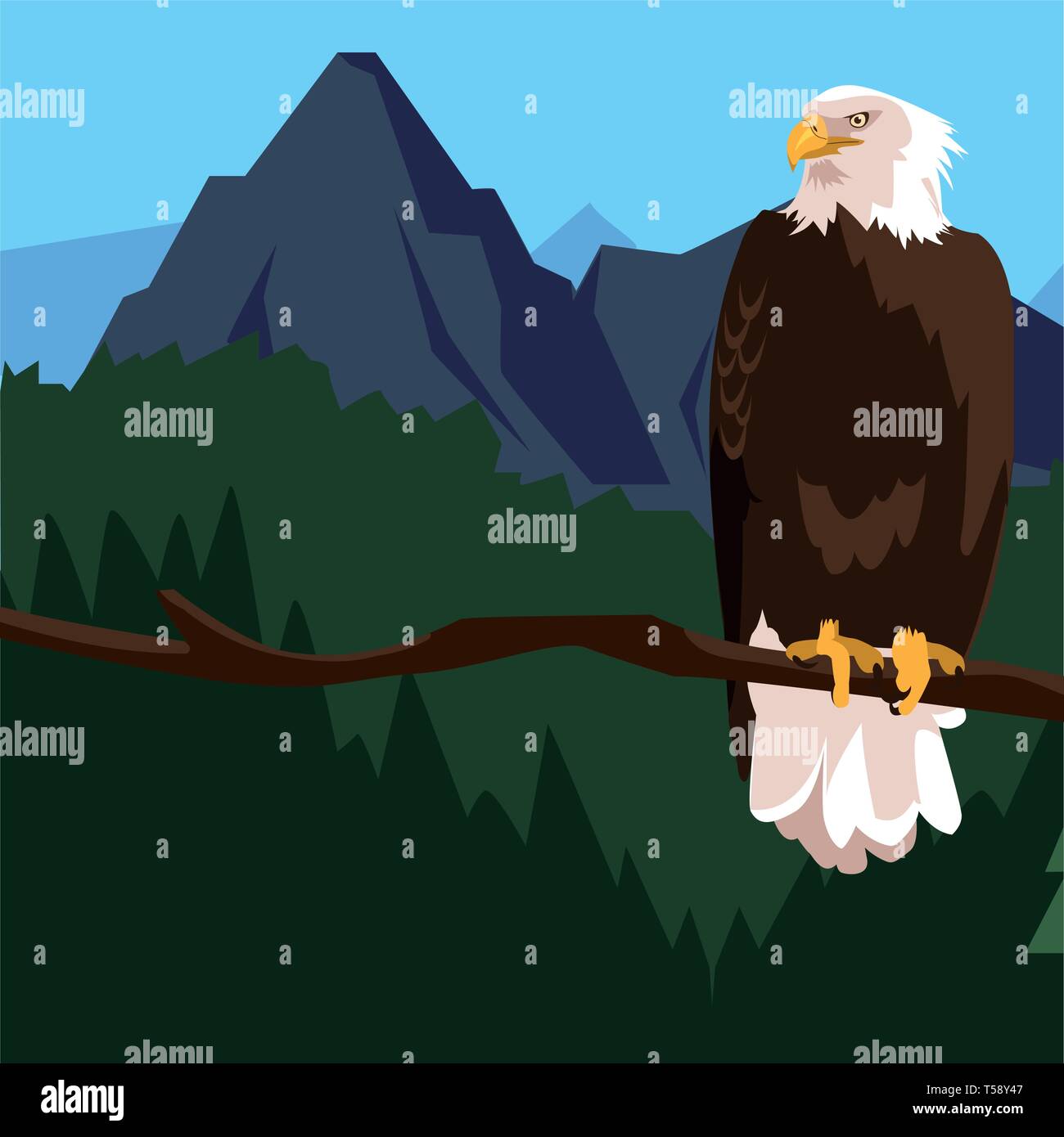 beautiful bald eagle in tree branch landscape scene vector illustration ...