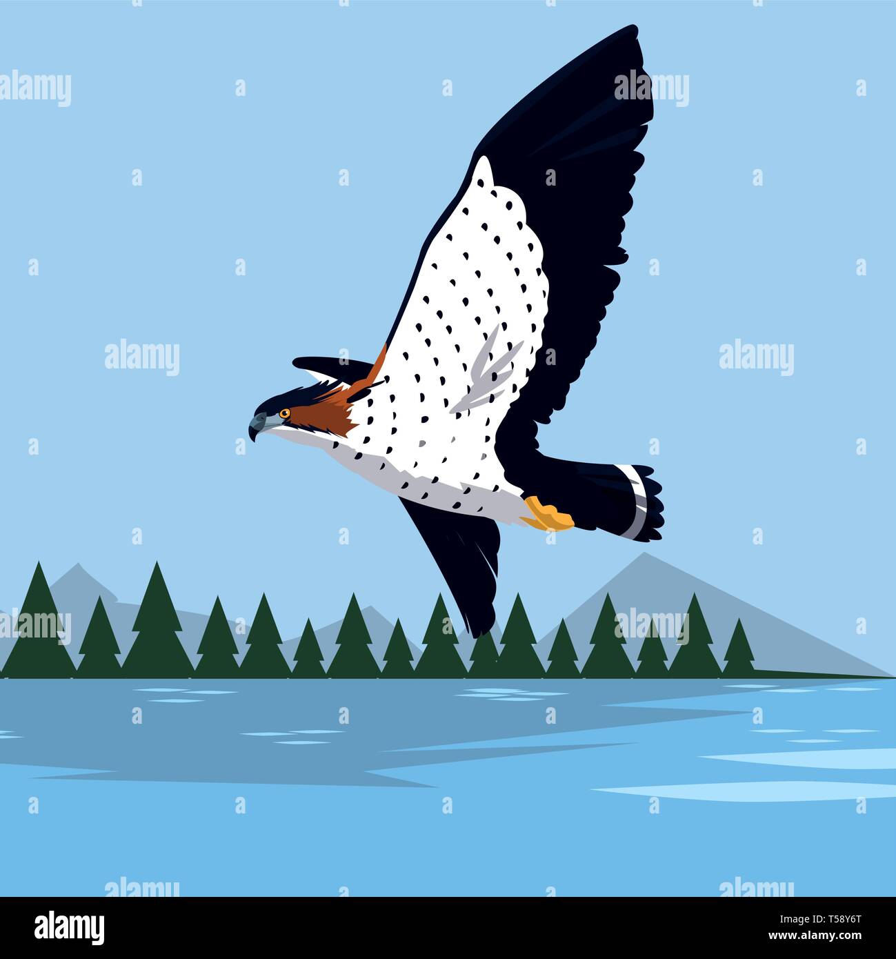 beautiful hawk flying majestic bird in the landscape vector ...