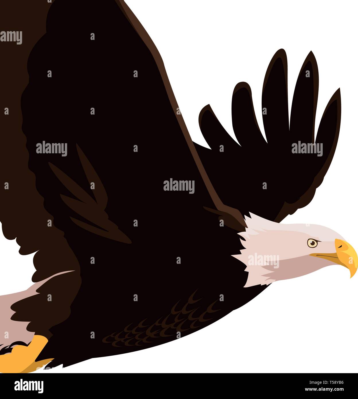 beautiful bald eagle flying vector illustration design Stock Vector ...