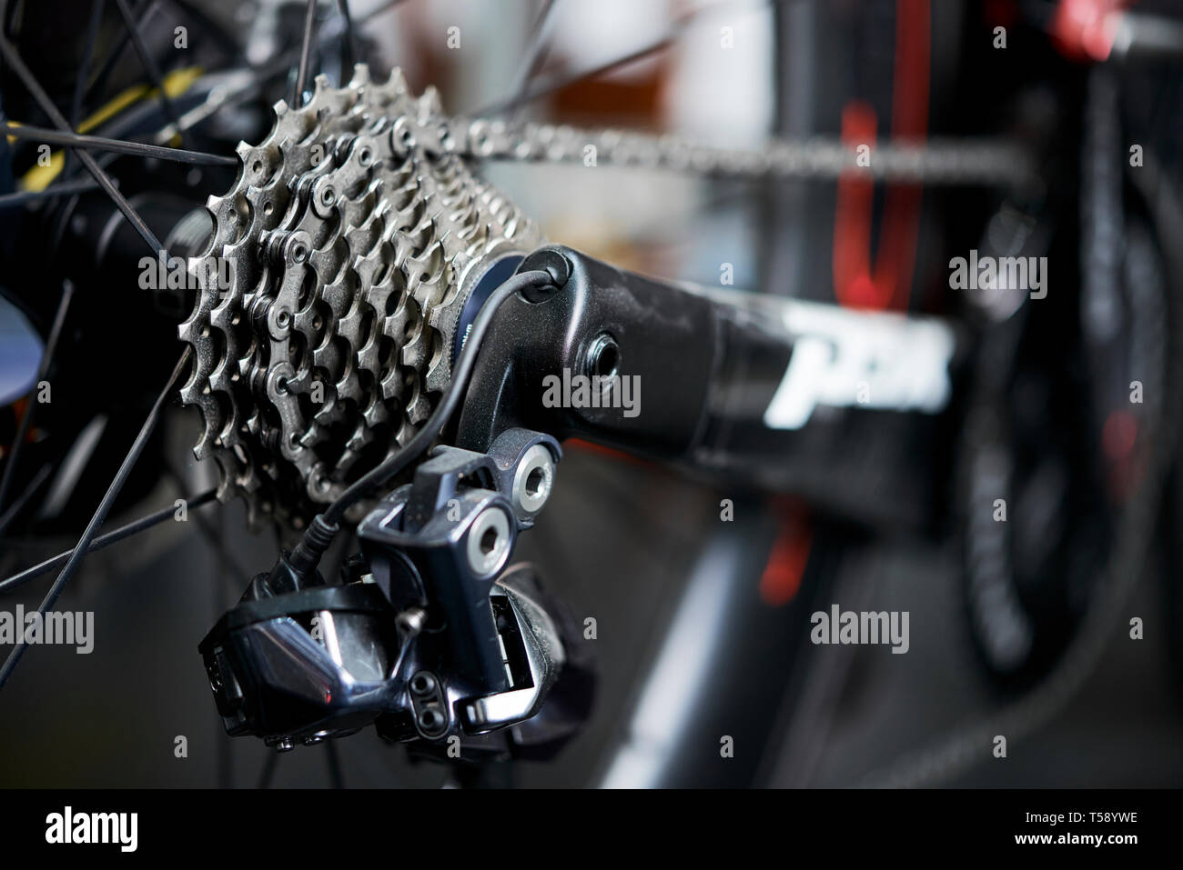 Rear mountain bike cassette on the wheel with chain Stock Photo - Alamy